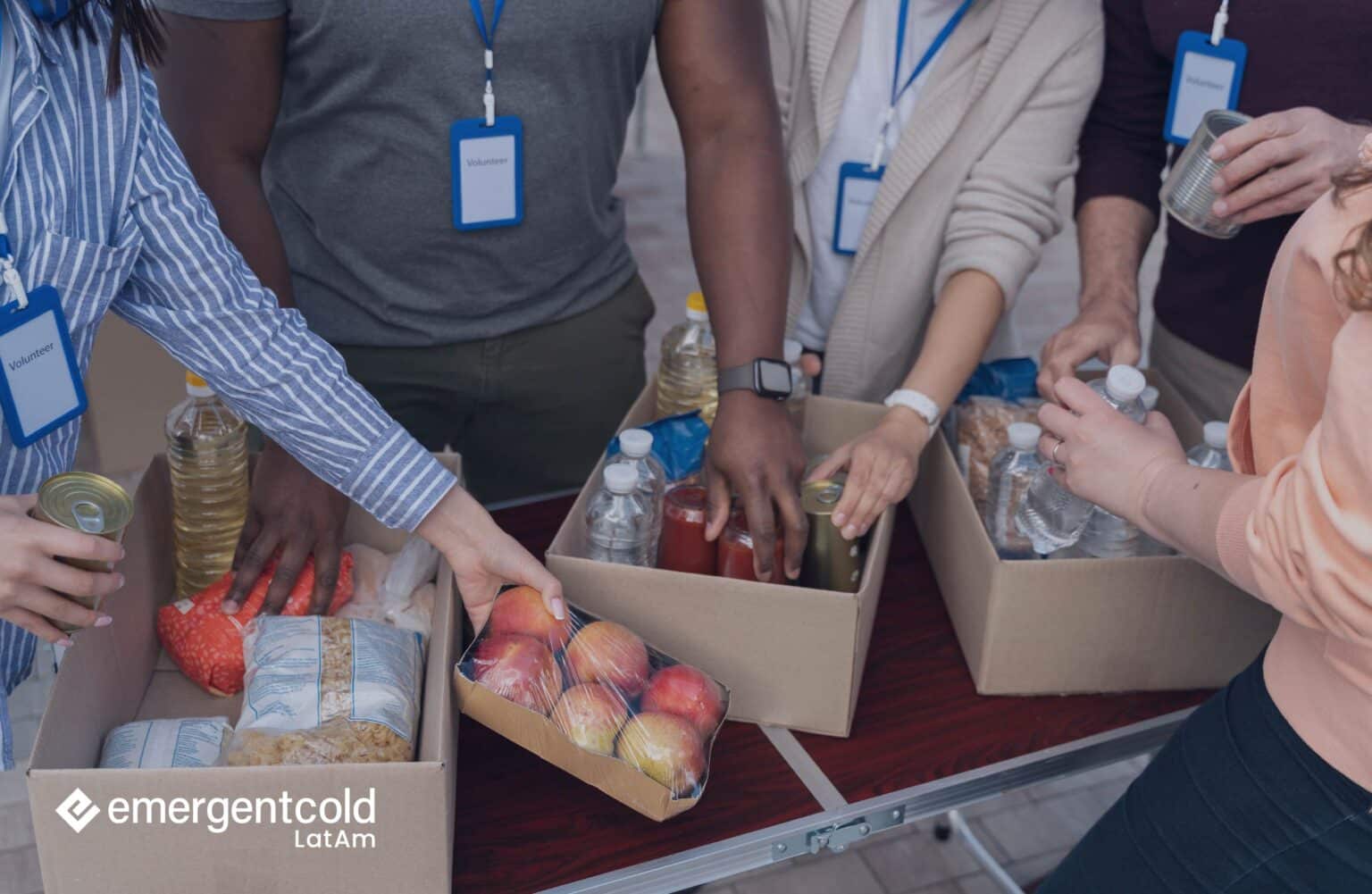 Cold chain 2025: check out the trends for this sector!