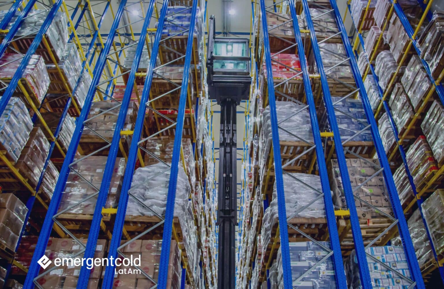 Cold storage warehouse: learn about the structure and the best options