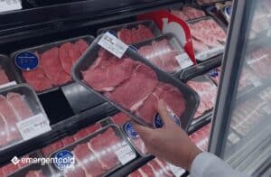 Cold storage warehouse: learn about the structure and the best options