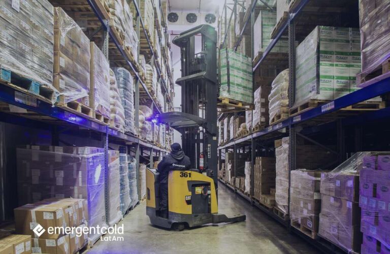 Picking in food logistics: understand its importance and types