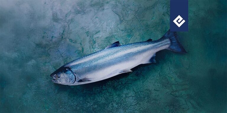 Emergent Cold LatAm - Cold Chain Logistics